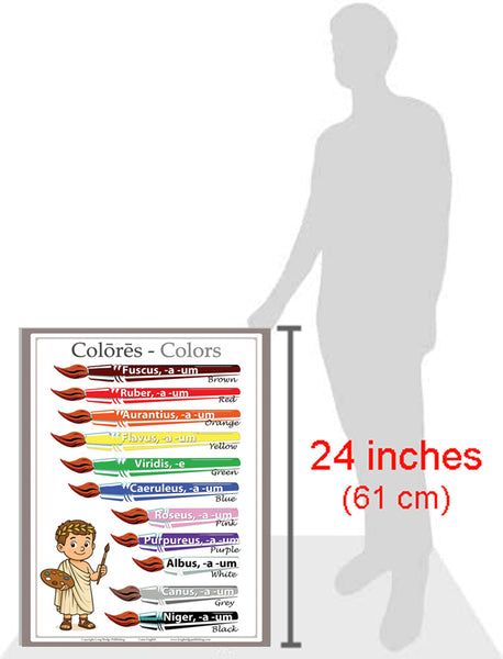 Latin Language School Poster - Wall Chart with Color Words for Classro ...