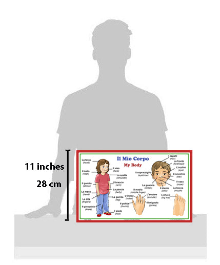 Italian Language School Poster - Words about Parts of the Body - Wall ...