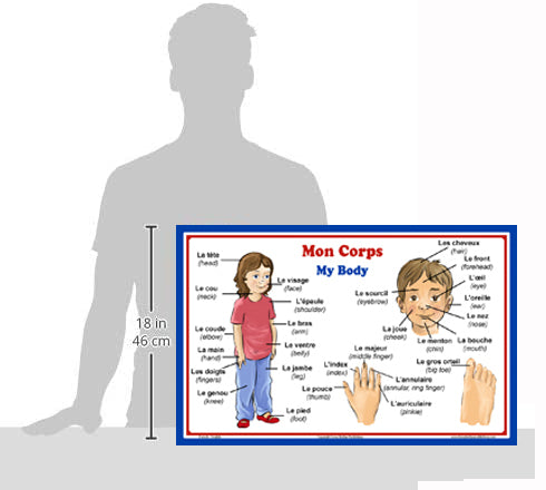 French Language School Poster - Words about Parts of the Body- Wall Ch ...
