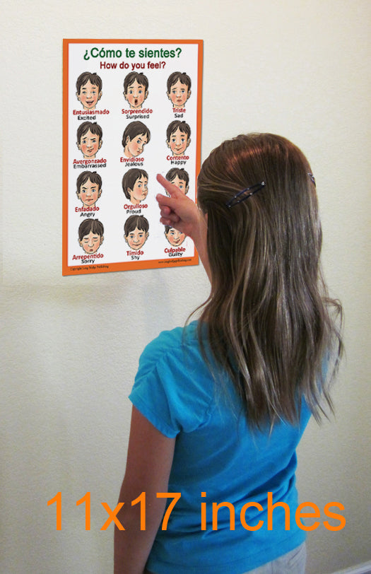 Spanish Language School Poster - Feelings - Wall Chart for Home and Cl ...