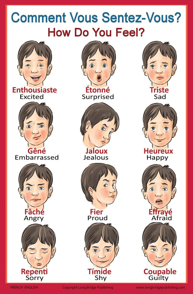 French Language School Poster - Words about Feelings - Wall Chart for ...