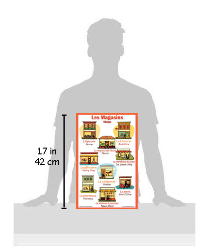 French Classroom Decor French Language Learning Posters Set - 5 ...