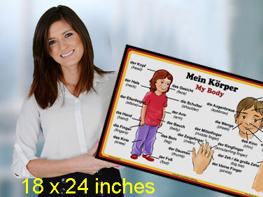 German Language School Poster - Words About Parts of the Body - Wall C ...