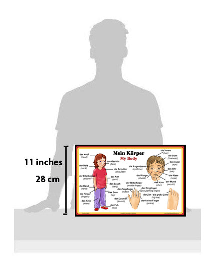 German Language School Poster - Words About Parts of the Body - Wall C ...