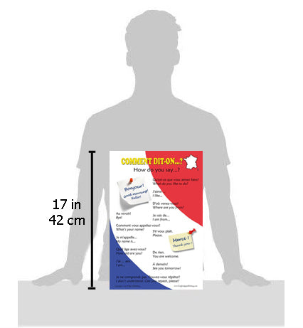 French Language Poster - Greetings and Common Phrases, Bilingual Chart ...